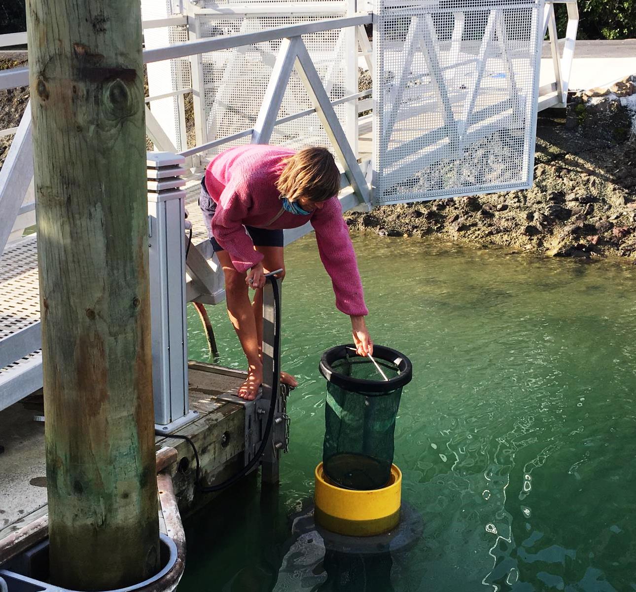 Tutukaka Seabin – Te Wairua O Te Moananui