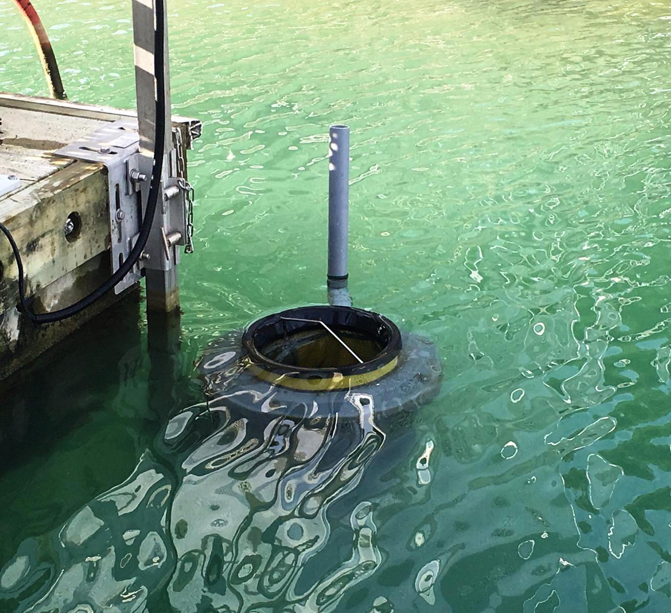 Tutukaka Marina SeaBin – Te Wairua O Te Moananui – Ocean Spirit